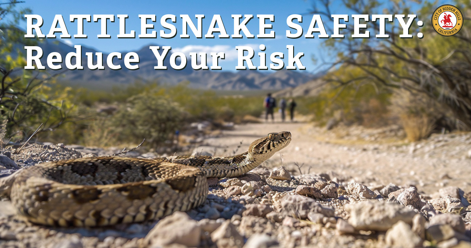 Rattlesnake Safety: Reduce Your Risk - Hidden Hills